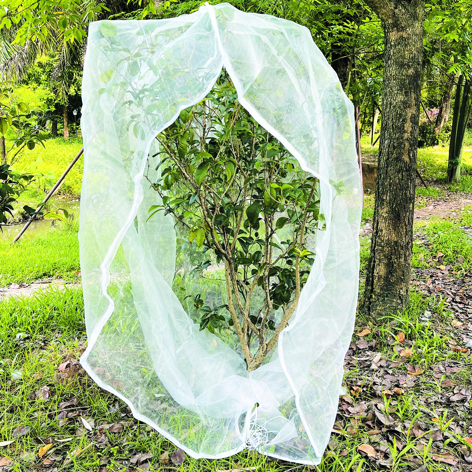 Heavy-Duty HDPE 40 Mesh Banana Tree Protection Net for Pest and Bird ...